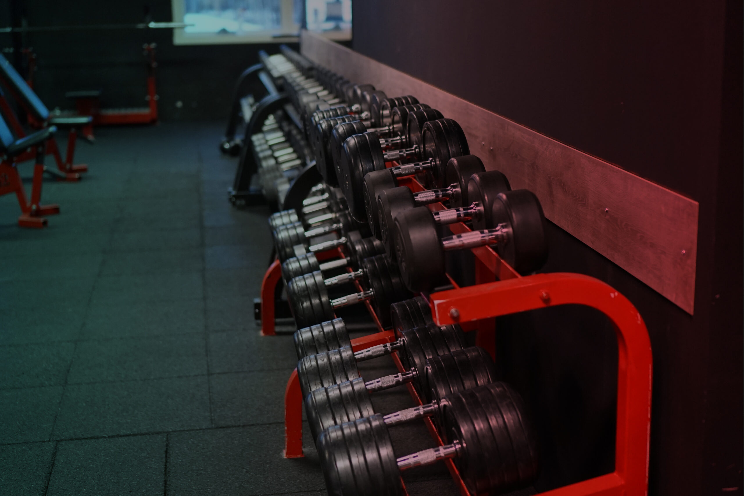 EXSA – Trening og Helse